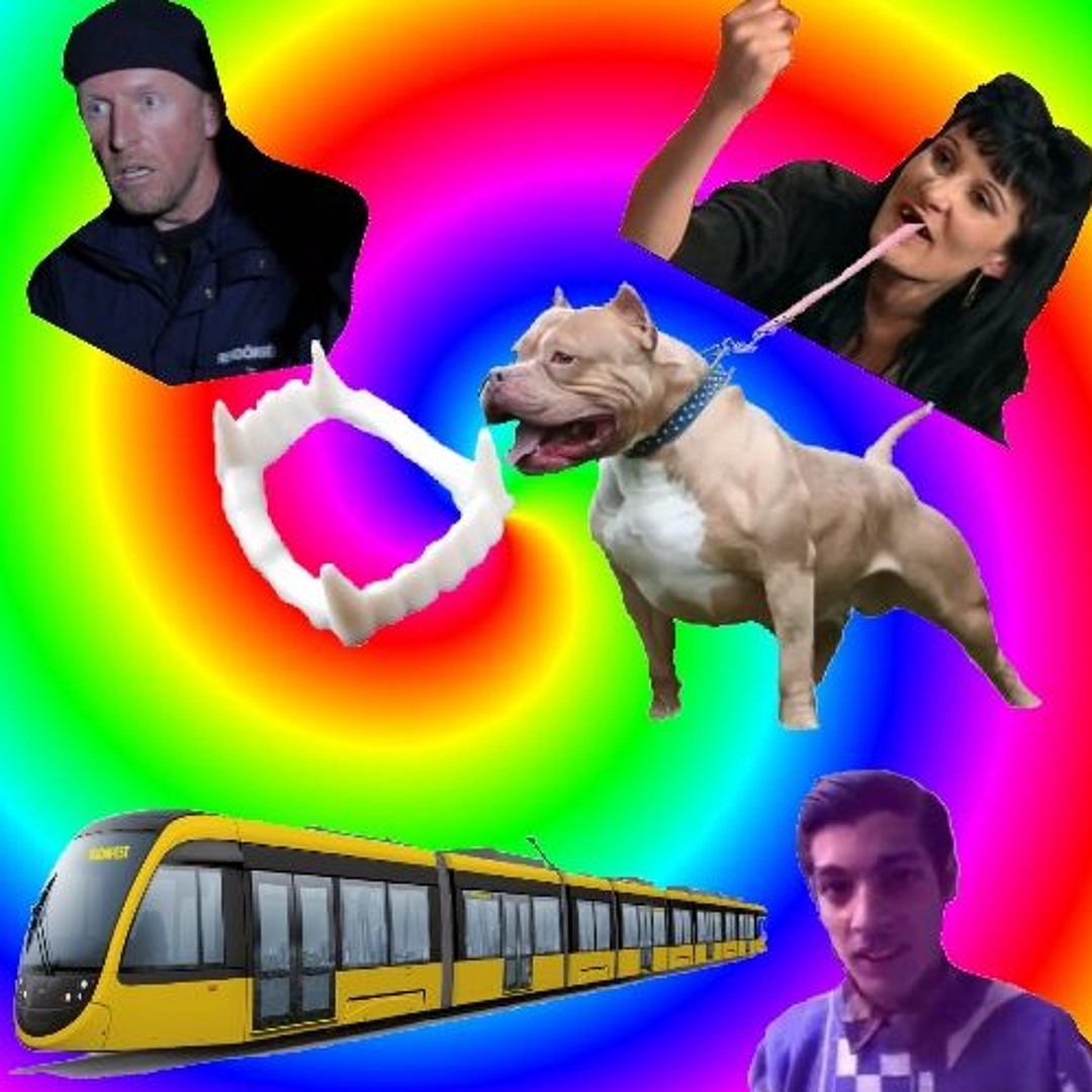 Stream kurva anyját felpofozós, pitbullkutyás, köpködő vámpíros ...