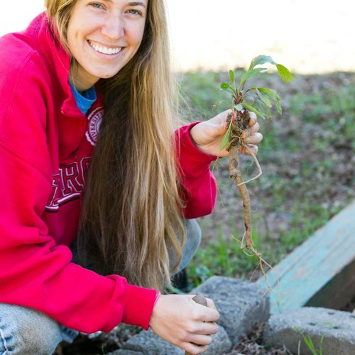 Stream Moll Beth Plant Interview 01 by Tori_Hunter | Listen online for ...