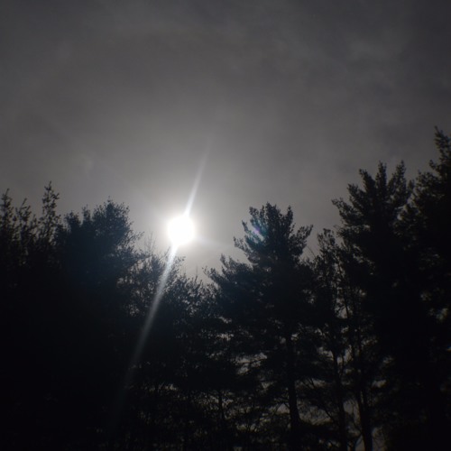 Stream Sample One Beat One by Merriweather | Listen online for free on ...