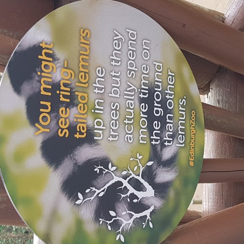 Stream 3a) Threat by Angela Mackellar | Listen online for free on ...