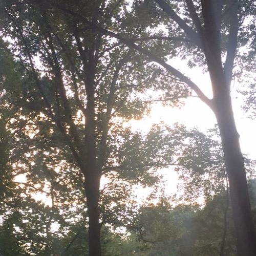 Stream Ryan Gates | Listen to U know u know🤷🏼‍♂️ playlist online for ...