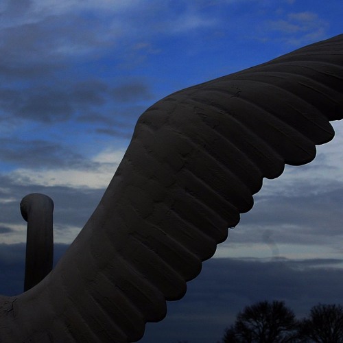 Stream Electro House by Max Max Nicolas | Listen online for free on ...