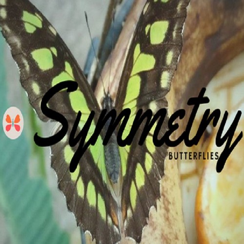 Stream episode Math in Nature - Butterfly symmetry by LthMathematics ...