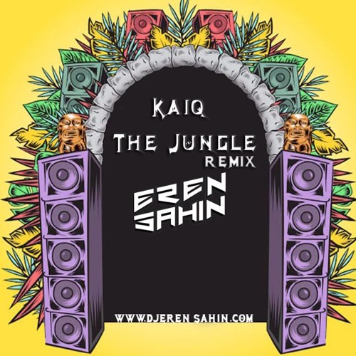 Stream Kaiq - The Jungle (Eren Sahin Remix) by Eren Sahin | Listen ...