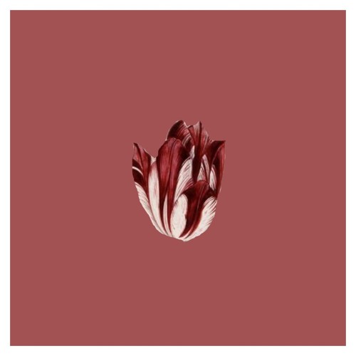 Stream Julia Solovykh | Listen to flavour playlist online for free on ...