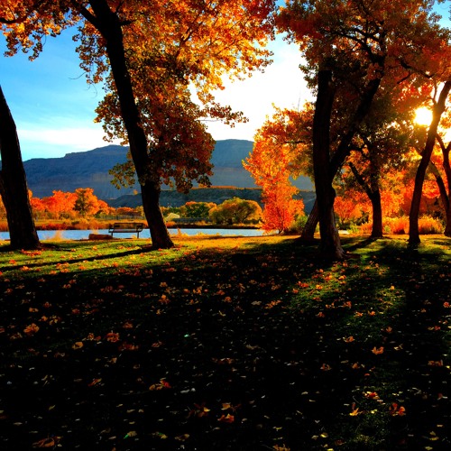 Stream Learning To Walk, by David Whyte, music Christian Lindquist ...