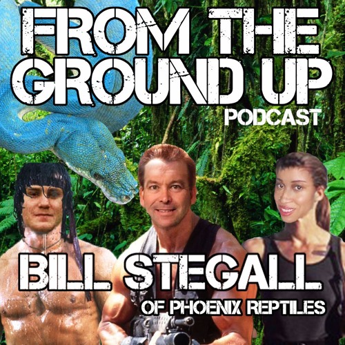 Stream episode Green Tree Pythons w/ Bill Stegall of Phoenix Reptiles ...
