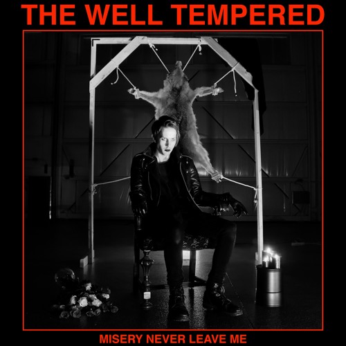 Stream The Void Is A Mirror by THE WELL TEMPERED | Listen online for ...