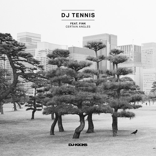 Stream DJ Tennis feat. Fink - Certain Angles (Mentrix Remix) by ...