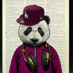 Pandas With Swag