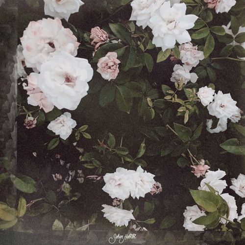 Stream Sahar Habibi | Listen to force of nature playlist online for ...