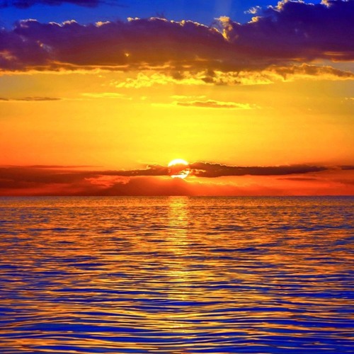 Stream Synaptic | Listen to Sunniest Sun You've Ever Sunned playlist ...