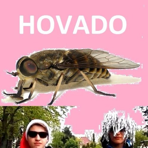 Stream Hovado by Kuba Jakub James | Listen online for free on SoundCloud