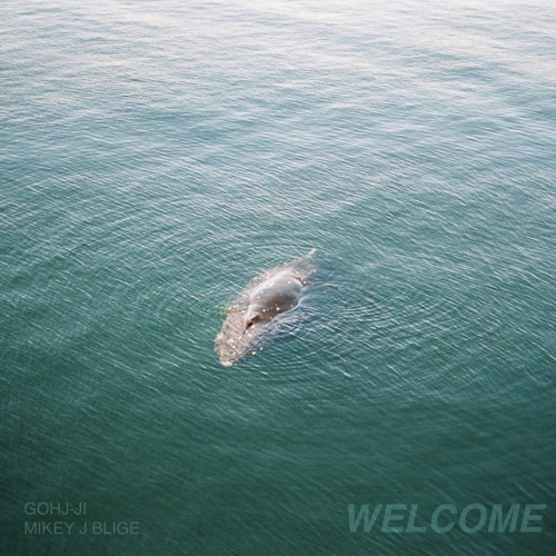 Stream Welcome - Gohj-ji & Mikey J Blige by Gohj-ji | Listen online for ...