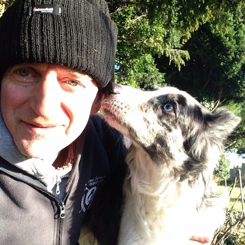 Stream Presence Meditations & Reflections | Listen to Meet your ...