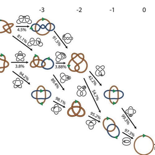 Stream episode Knots, Math and Reconnection in DNA by Three-Minute ...