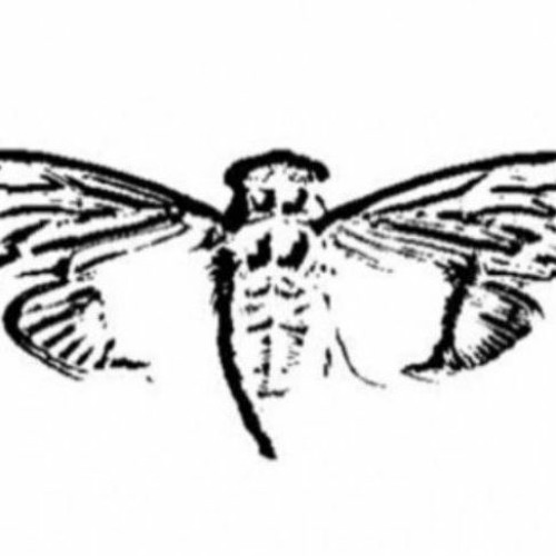 Stream Apollo (Lookas) Vs. Deep In The Night (Snails And Pegboard Nerds ...