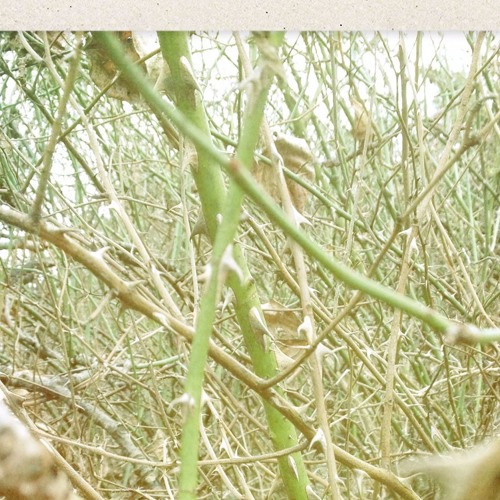 Stream hhhiii by tay_ploops | Listen online for free on SoundCloud