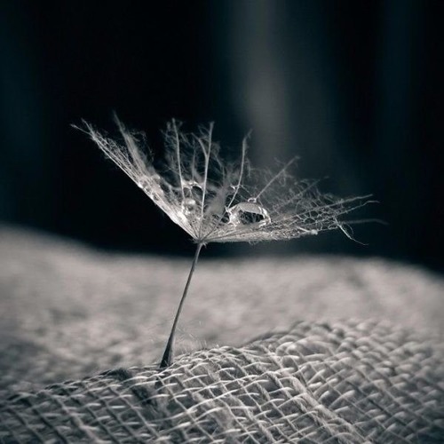 Stream Tcentralen & Sergey Shvets - J by SergeyShvets | Listen online ...