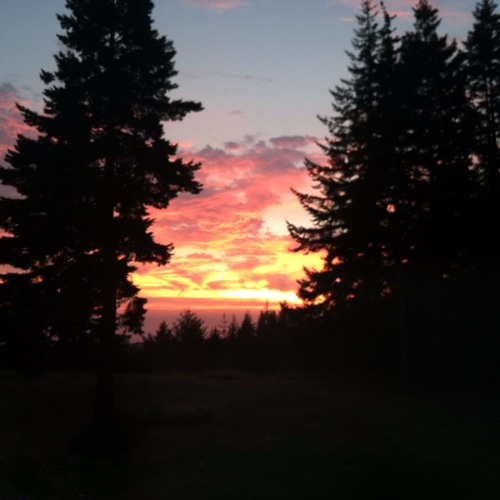 Stream Dune Tumbling by Benjamin Poletti | Listen online for free on ...