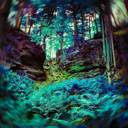 Stream New Primordial Forest by Kreiff | Listen online for free on ...