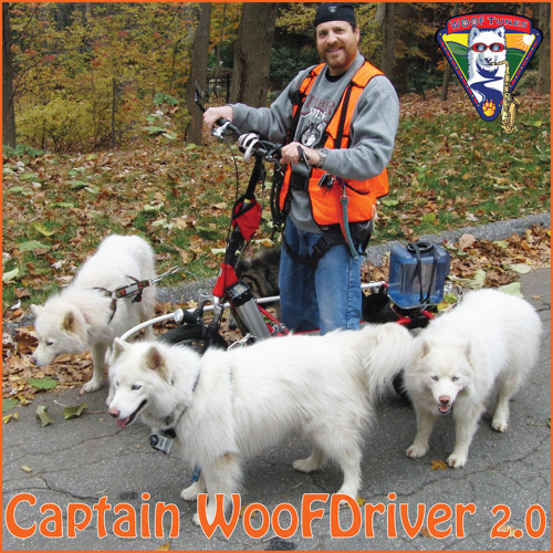 Stream Captain WooFDriver 2.0 by WooFDriver | Listen online for free on ...