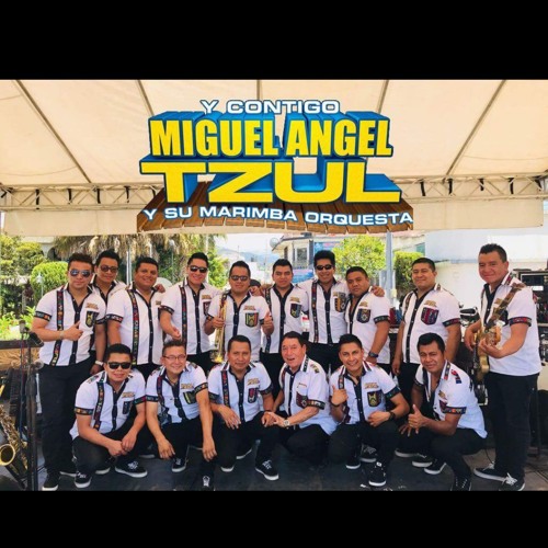Stream Concierto de Miguel Angel tzul by Axel Fernando Ajca | Listen ...
