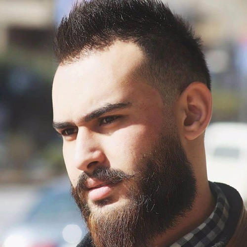 Stream Hassan Mhd Akoul | Listen to interview playlist online for free ...