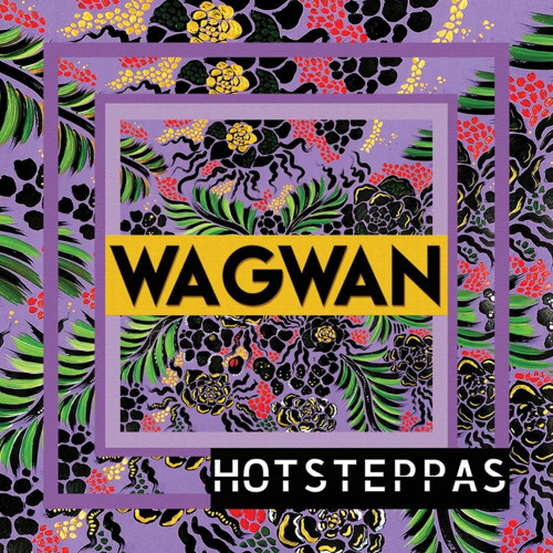 Stream (Reggae) Hotsteppas - Wagwan (Record, Mix, Master) by Free House ...