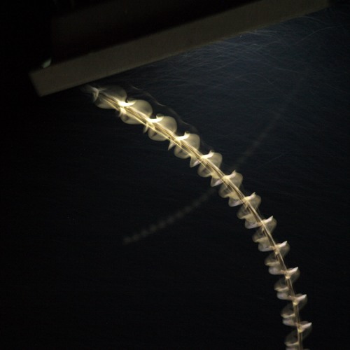 Stream On the Beach, By the Lake, Where the Monkeys Play by Gregg M ...