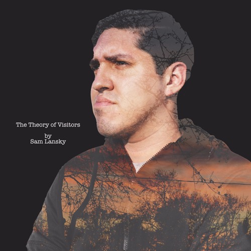 Stream The Theory of Visitors by Sam Lansky by PodVomm | Listen online ...