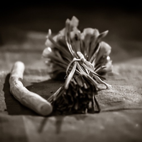 Stream Michael Bercier 1 | Listen to when I feel like I'm going to lose ...