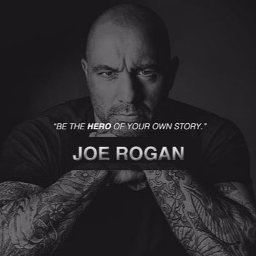 Stream Joe Rogan - Be The Hero Of Your Story from Pete Sapper (NORCΔL 9 ...