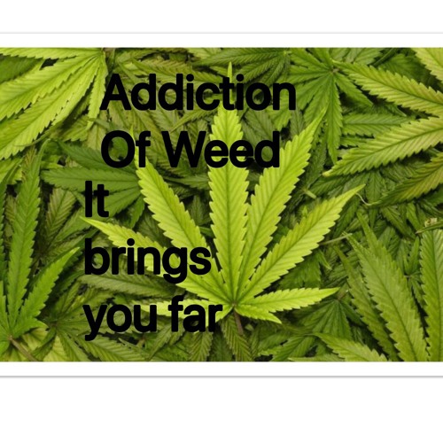 Stream Addiction of Weed🍀 by Foxy TheFurryFox | Listen online for free ...