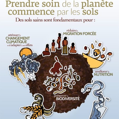 Stream Journée mondiale : les sols sont nos alliés silencieux contre le ...