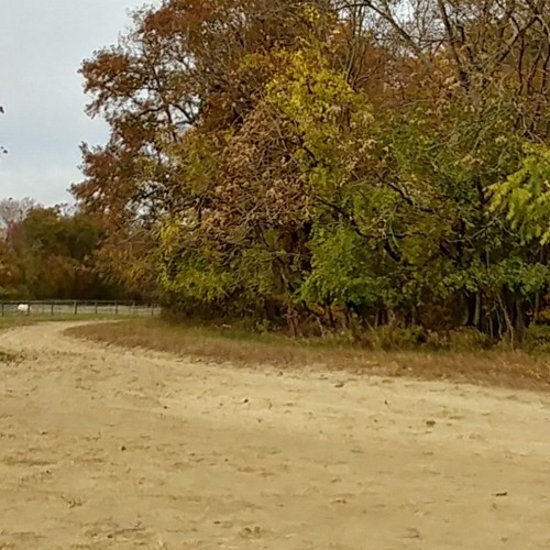 Stream Goofy Boots by Scott Lefferts | Listen online for free on SoundCloud