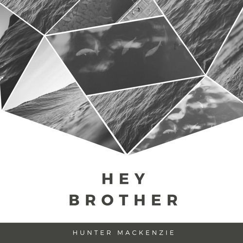 Hey Brother Avicii Genre