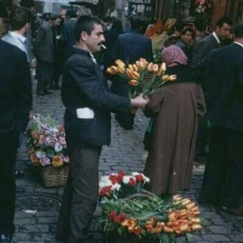 Stream Kulîlk - Mem Ararat by Ukubala | Listen online for free on ...