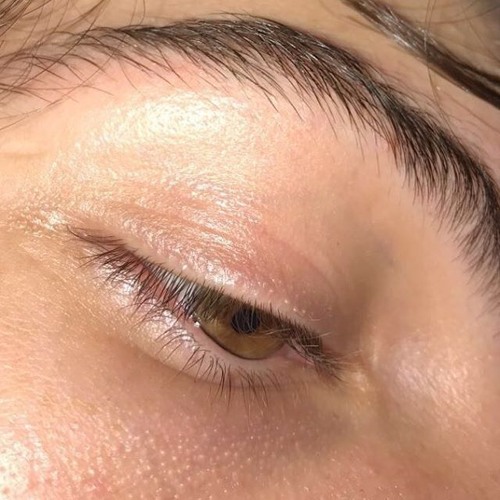 Stream Tree bark Eyes-Kaley by Kaley Porter | Listen online for free on ...