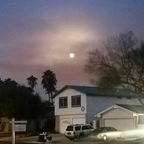 Stream yalk DX | Listen to SHADOW FUNCTION EP playlist online for free ...