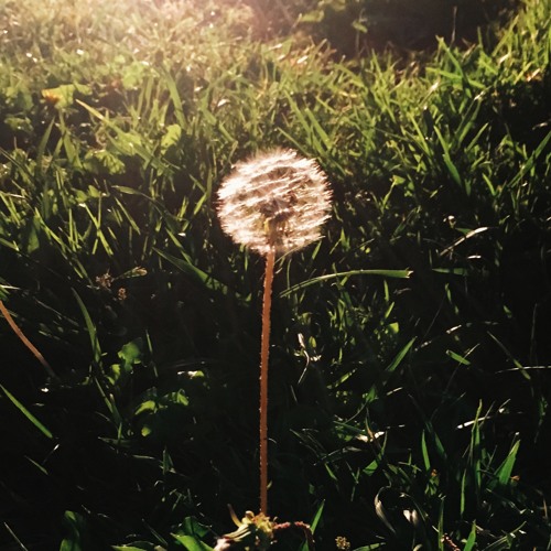 Stream Fool (acoustic version) - Chase Evers & Cole Ficklin by Chase Evers | Listen online for ...