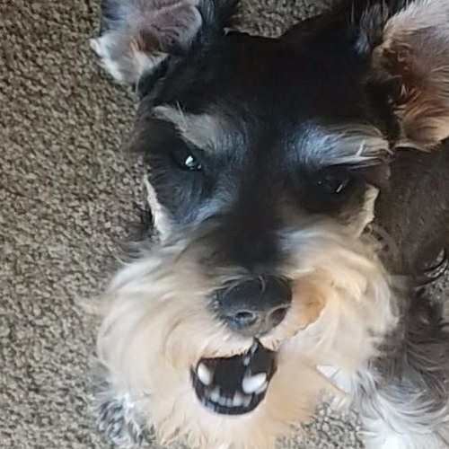 Stream Sounds - school by Alexa McLaughlin | Listen online for free on ...