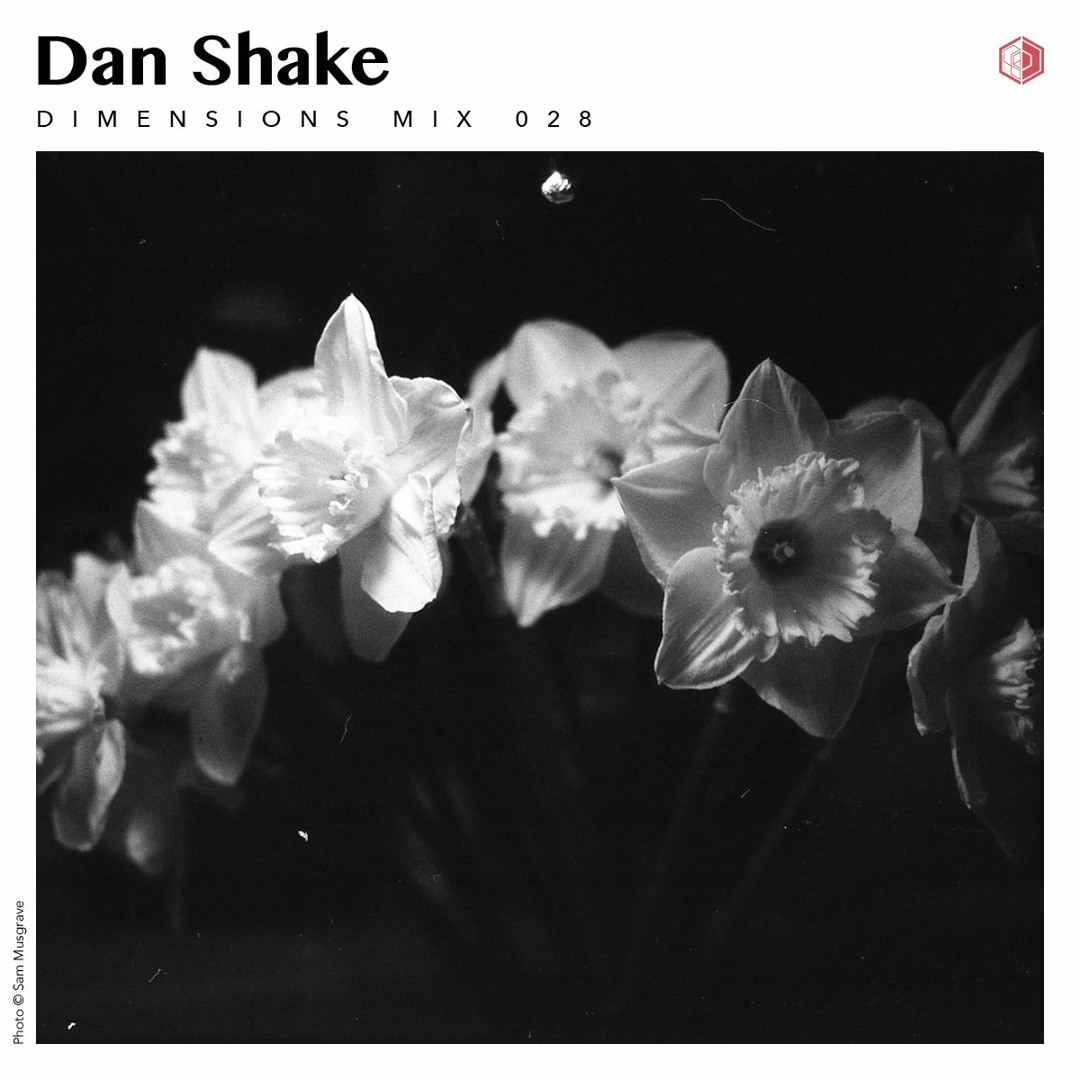 Stream DIM028 - Dan Shake by Dimensions Festival | Listen online for ...