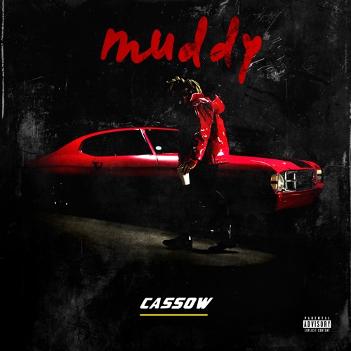 Stream MUDDY // CASSOW (prod. Daron) by CASSOW | Listen online for free ...