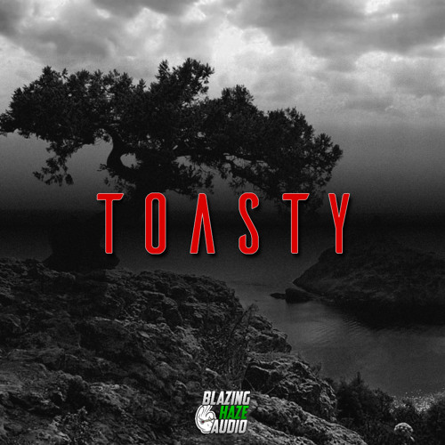 Stream Toasty & Dub Soldier - Surprise Me (FREE DOWNLOAD) by Blazing ...