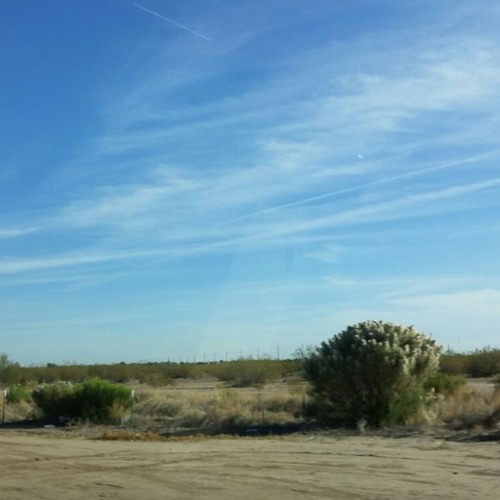 Stream Cuánto diera, de Ángela María Dávila Voz: Marlyn Centeno by ...