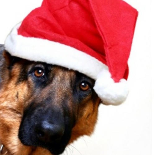 Stream Rudolf The Red-Nosed Reindeer(Ft. Yung Dawgy) by Eli the dabber ...