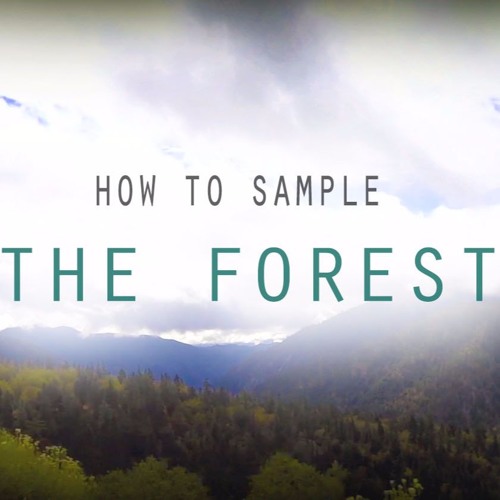 Stream How To Sample The Forest - SAMPLE PACK by ButtonPushersUnited ...