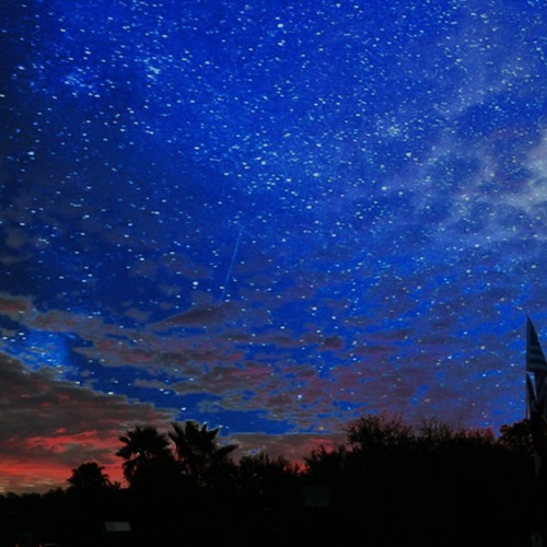 Stream Whole Lotta Lovin-World to me(Dj Mustard/Tchami)[JDO CONTRIVED ...