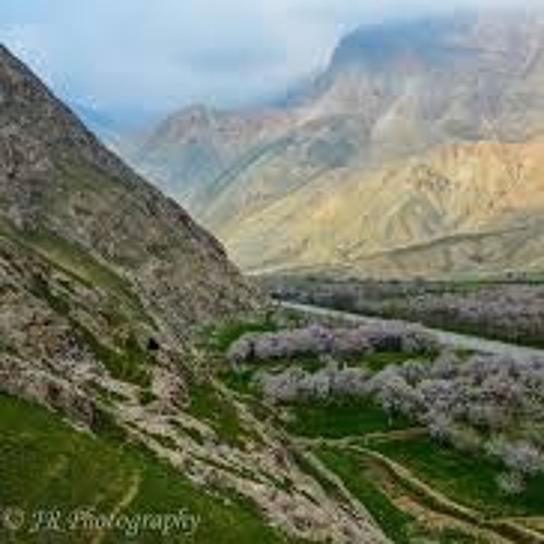 Stream عتیق مزاری- Atiq Mazari Bahar Amad.mp3 by Alibaba Bagheri ...